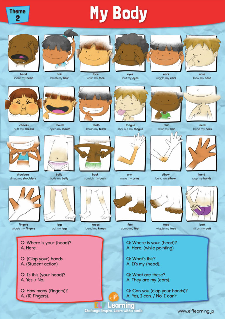 2 Body Parts Poster ELF Learning 2-body-parts-poster-elf-learning