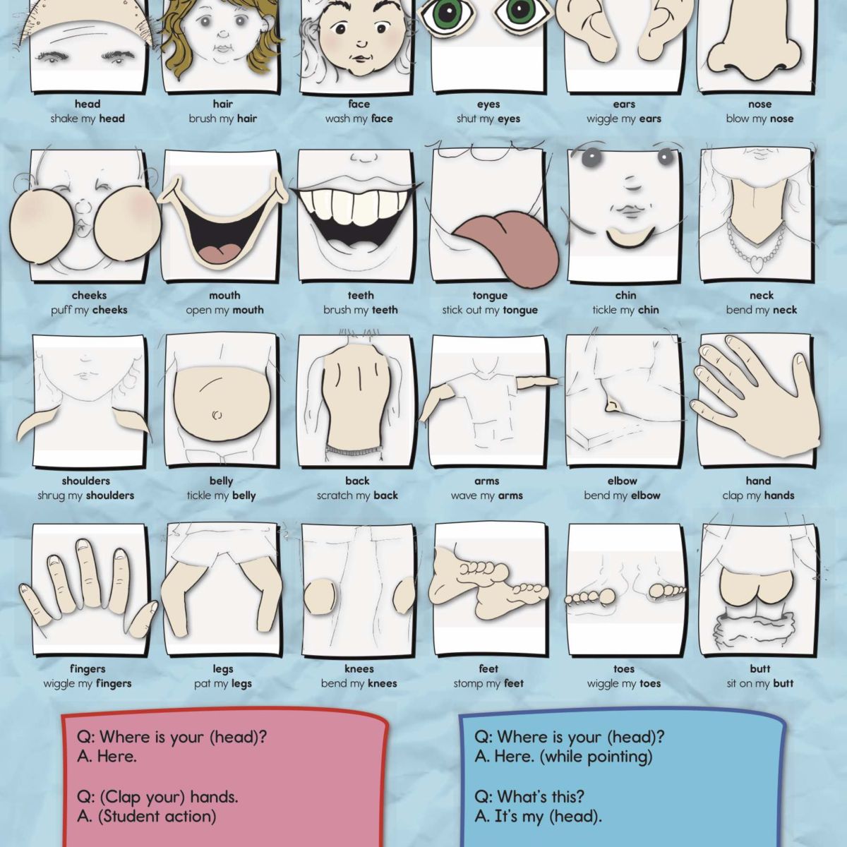 Pre 1 and 2 Poster Bundle - ELF Learning