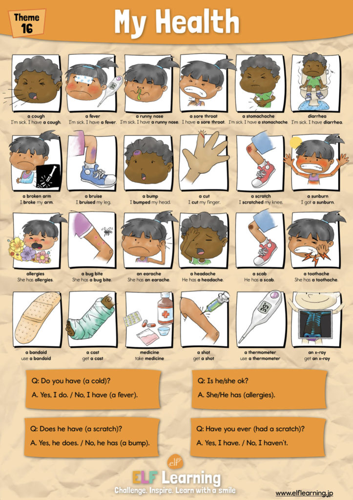 16 - My Health Poster - ELF Learning