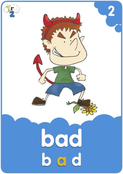 TRW Readers 2 Flash Cards - ELF Learning