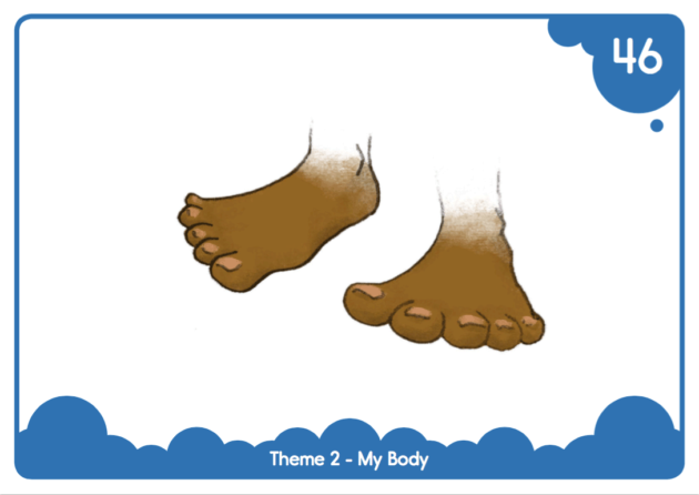 Easy-Print "My Body" Flash Cards - ELF Learning