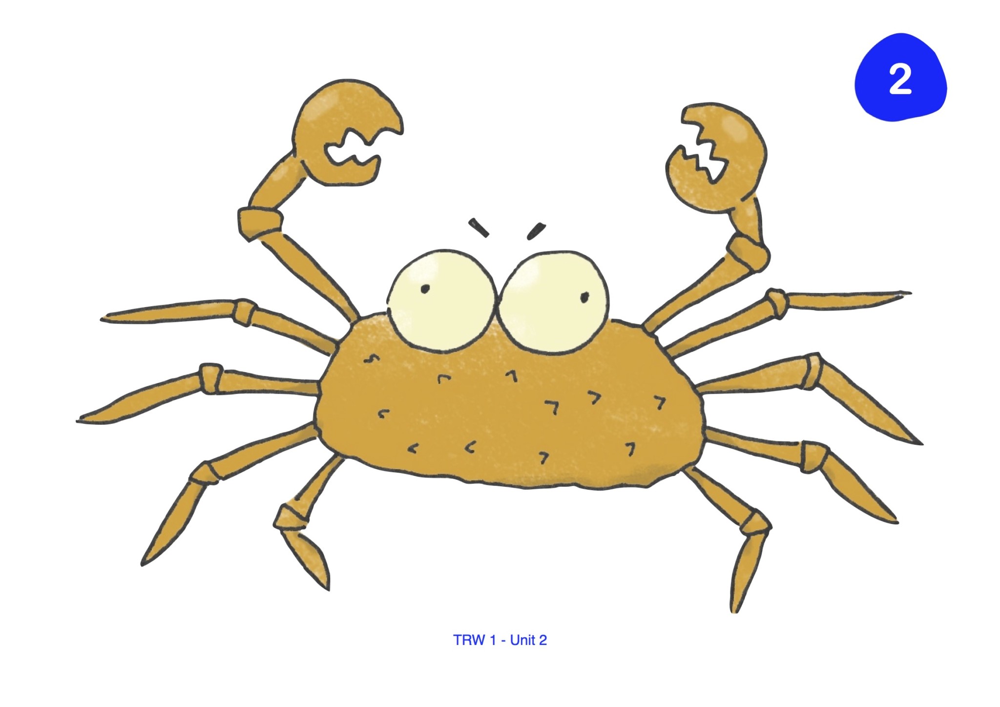 Think Read Write 1 Flashcards (Full Set) - ELF Learning